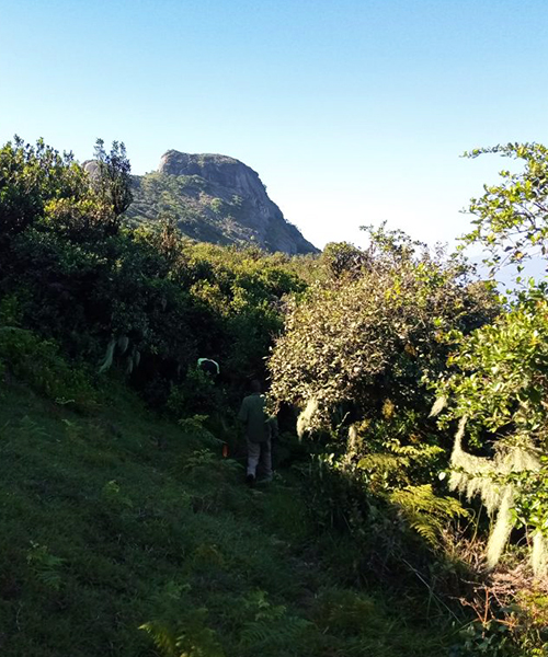 Mount Longido – Afrimine Tours