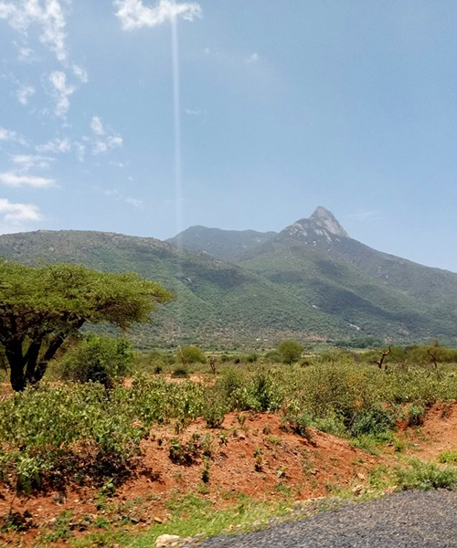 Mount Longido – Afrimine Tours